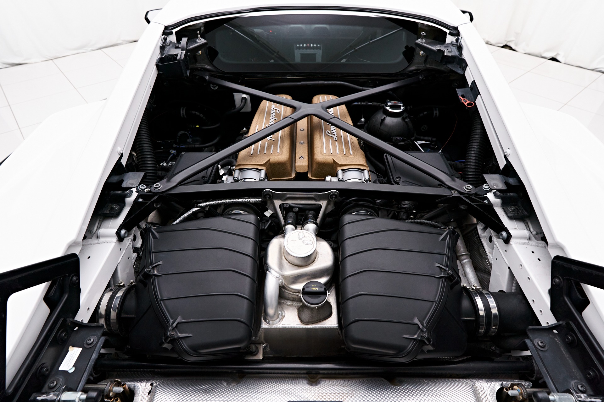 Lamborghini 2022 Veneno Engine
