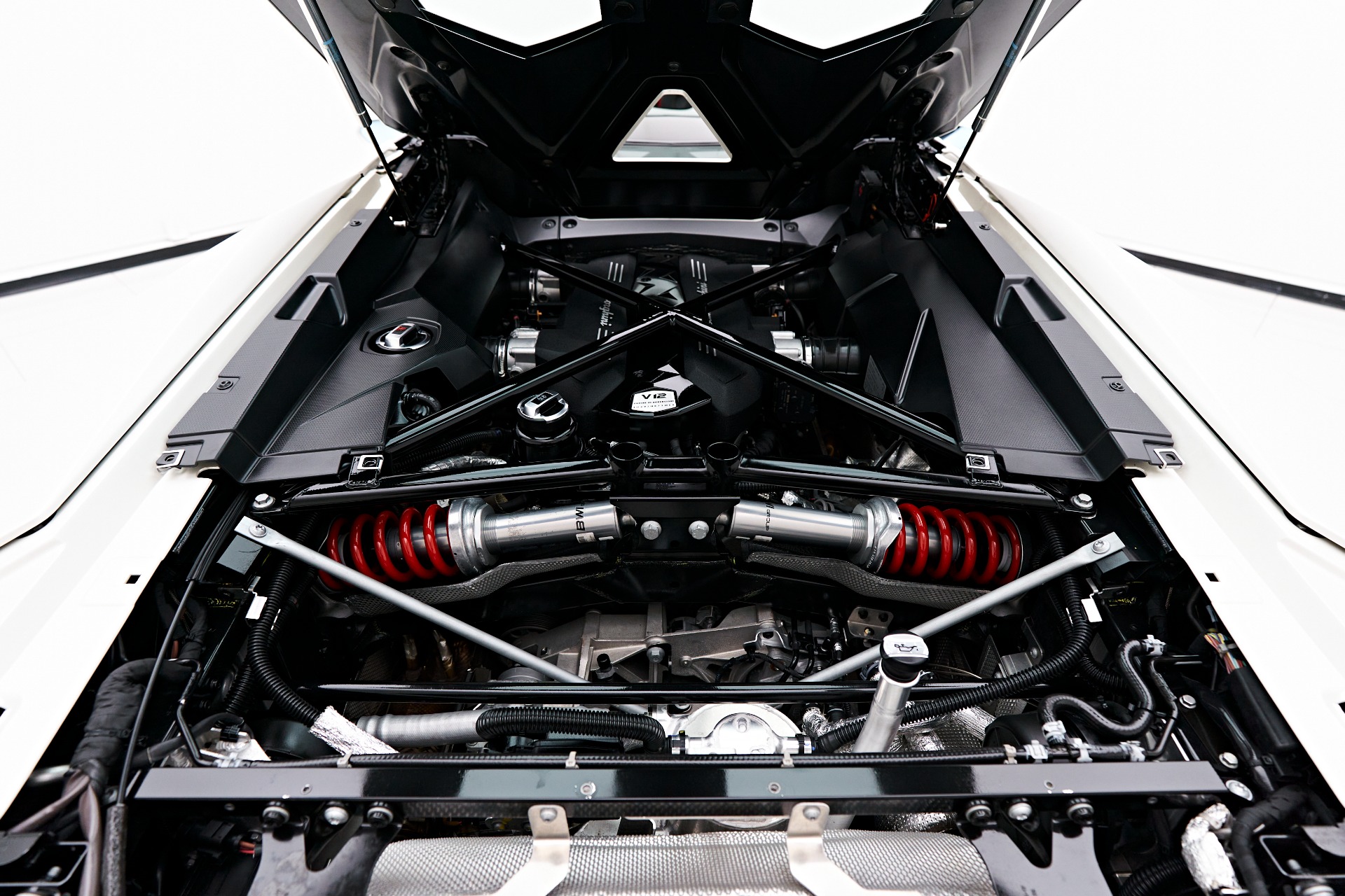 Lamborghini Aventador Engine Bay