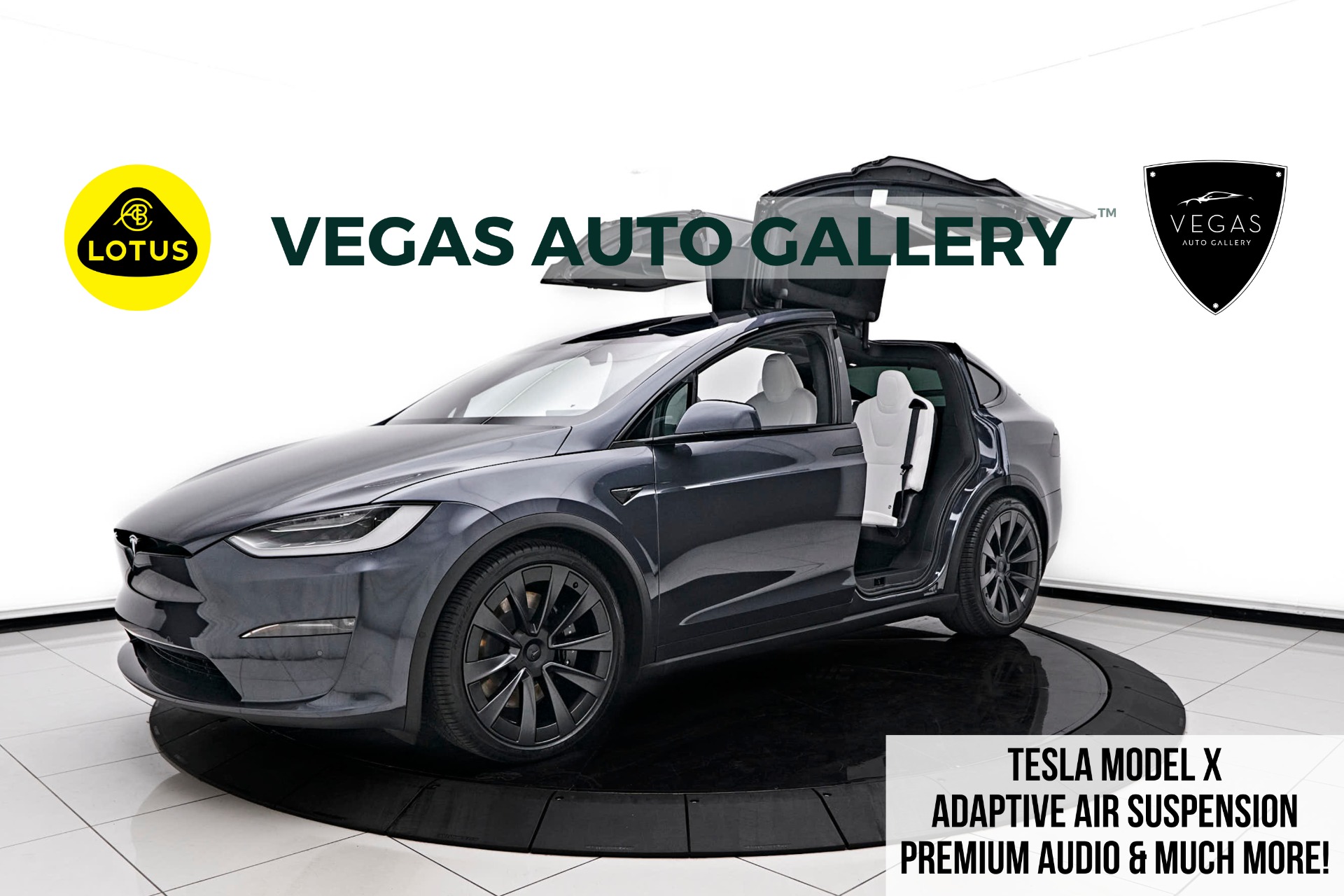 Model x used for sale store